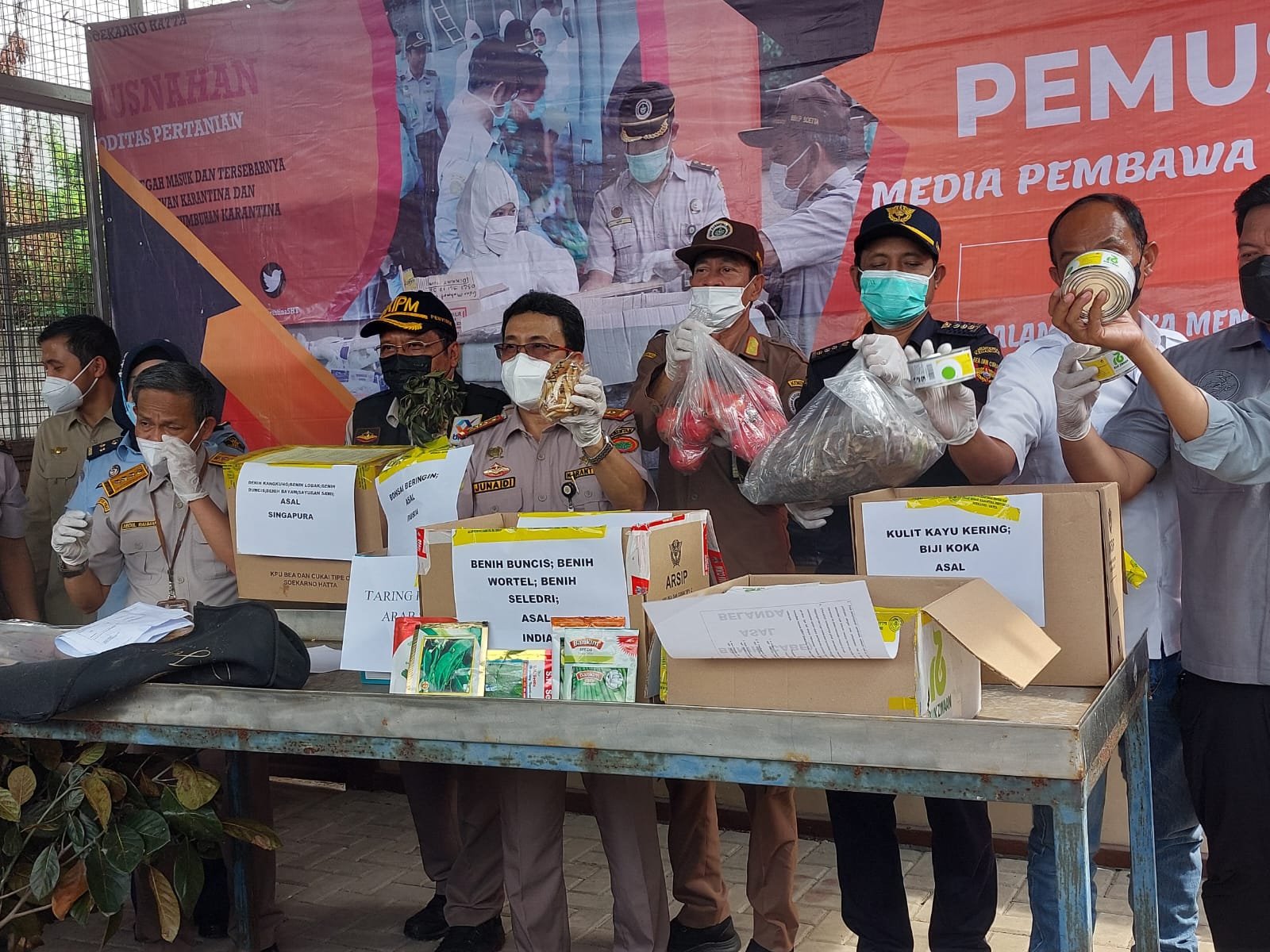 Terkontaminasi Bakteri, Benih Sayuran Asal Belanda Dimusnahkan ...