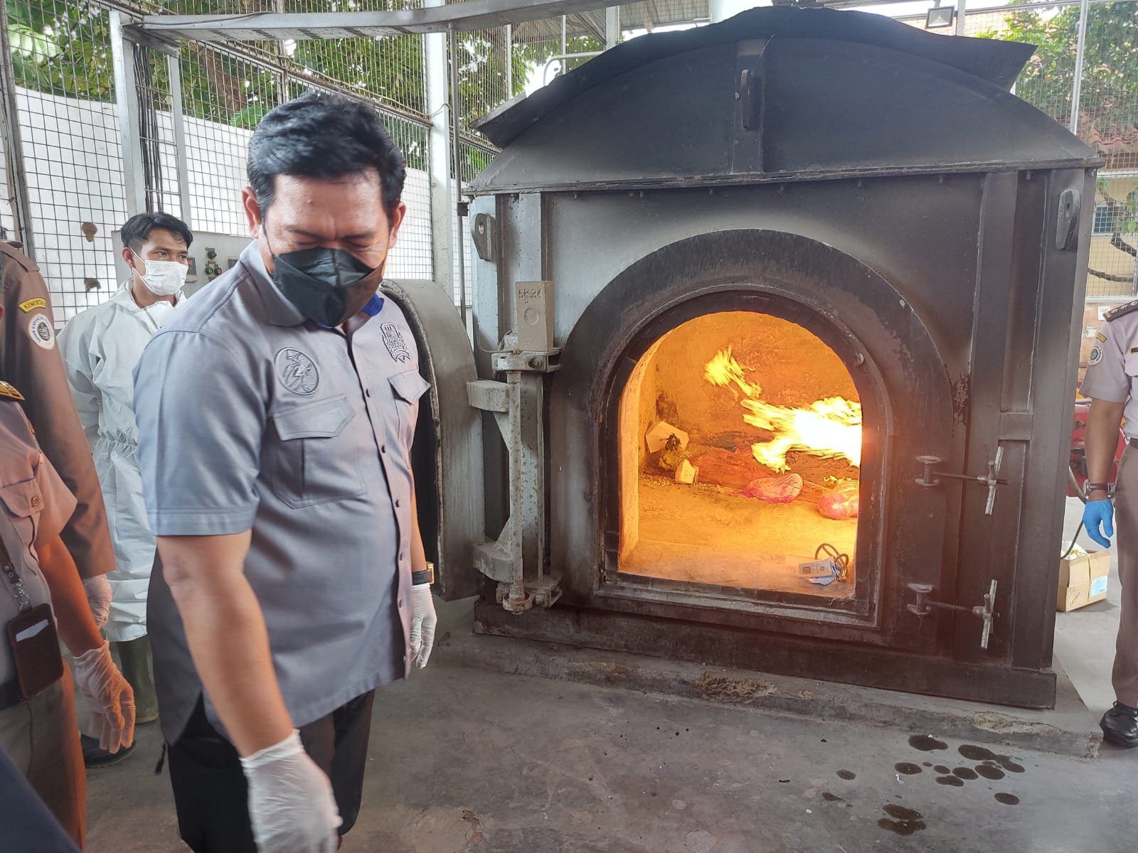 Terkontaminasi Bakteri, Benih Sayuran Asal Belanda Dimusnahkan ...